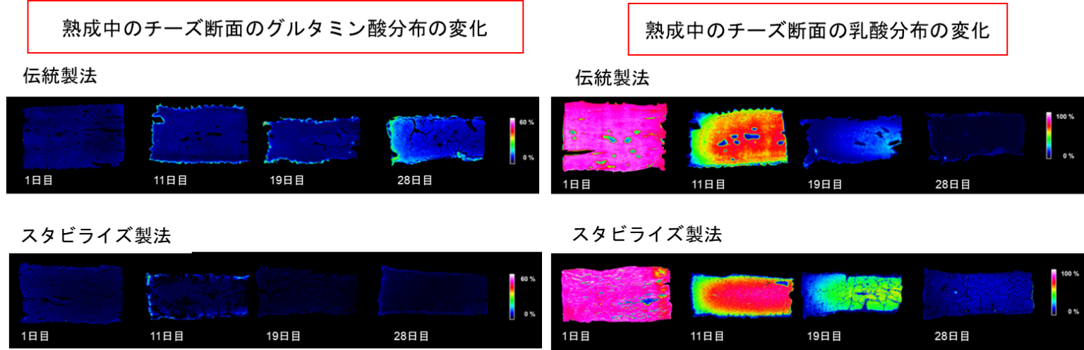 世界初！カマンベールチーズ熟成中の“味”変化を可視化日本農芸化学会 2026年度大会にて発表 – ミルキスト【森永乳業正規特約店】